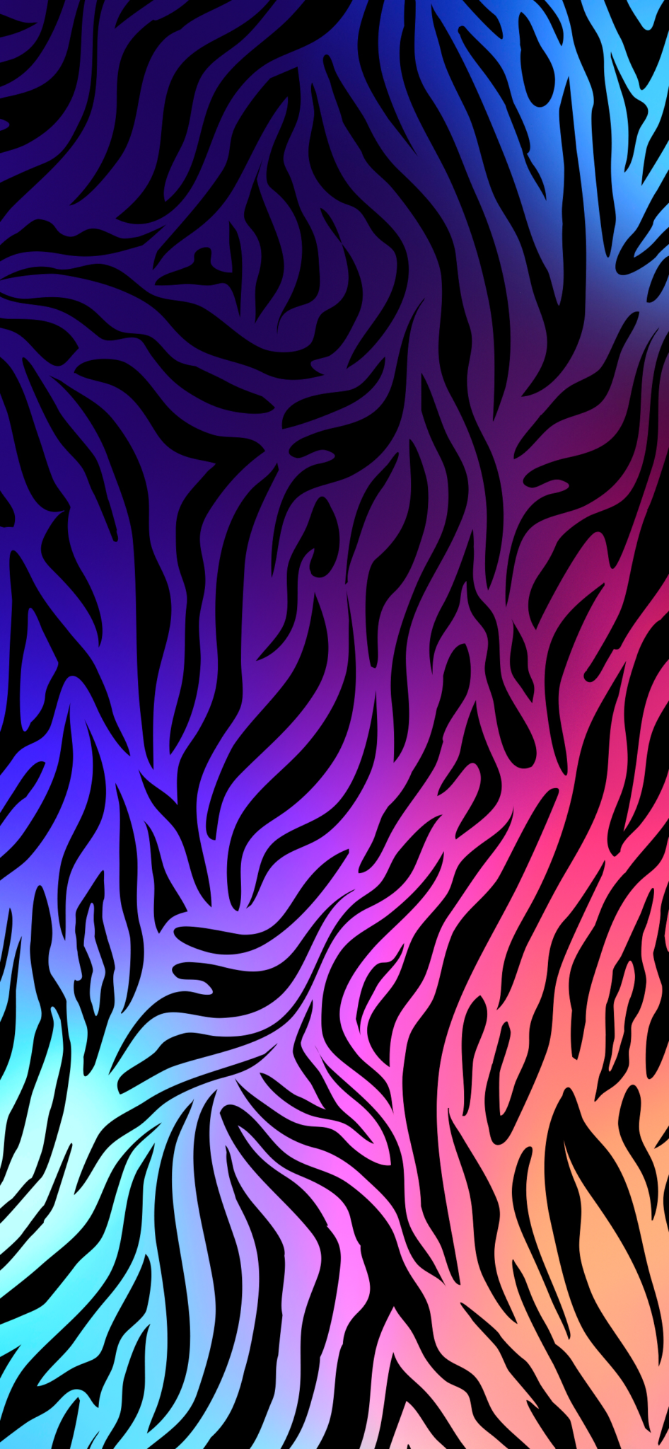 Colorful Zebra - Wallpapers Central