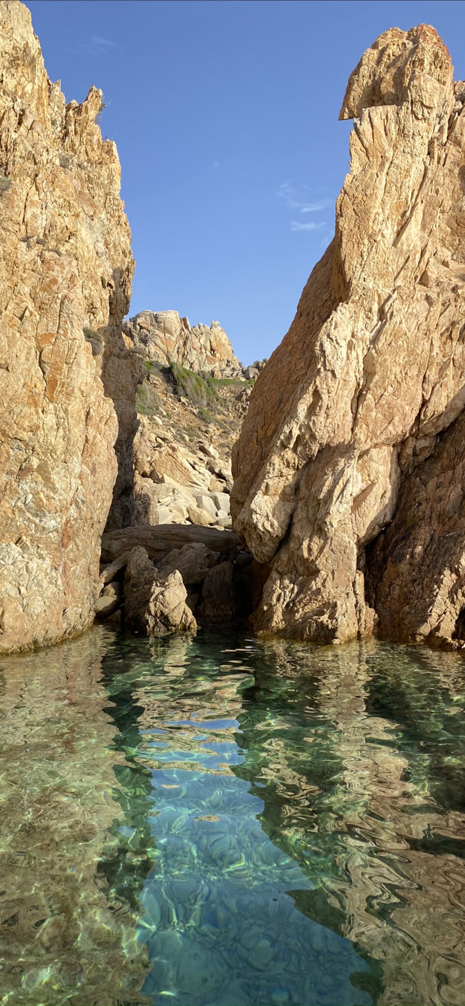 Mare - Wallpapers Central