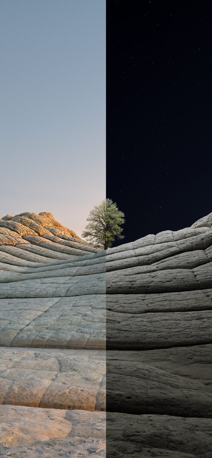 Desert Tree | DUAL - Wallpapers Central