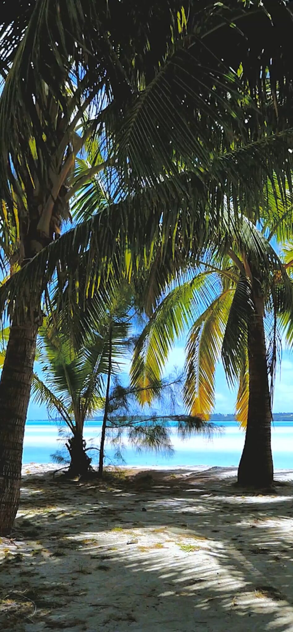 Perfect Beach | LIVE Wallpaper - Wallpapers Central