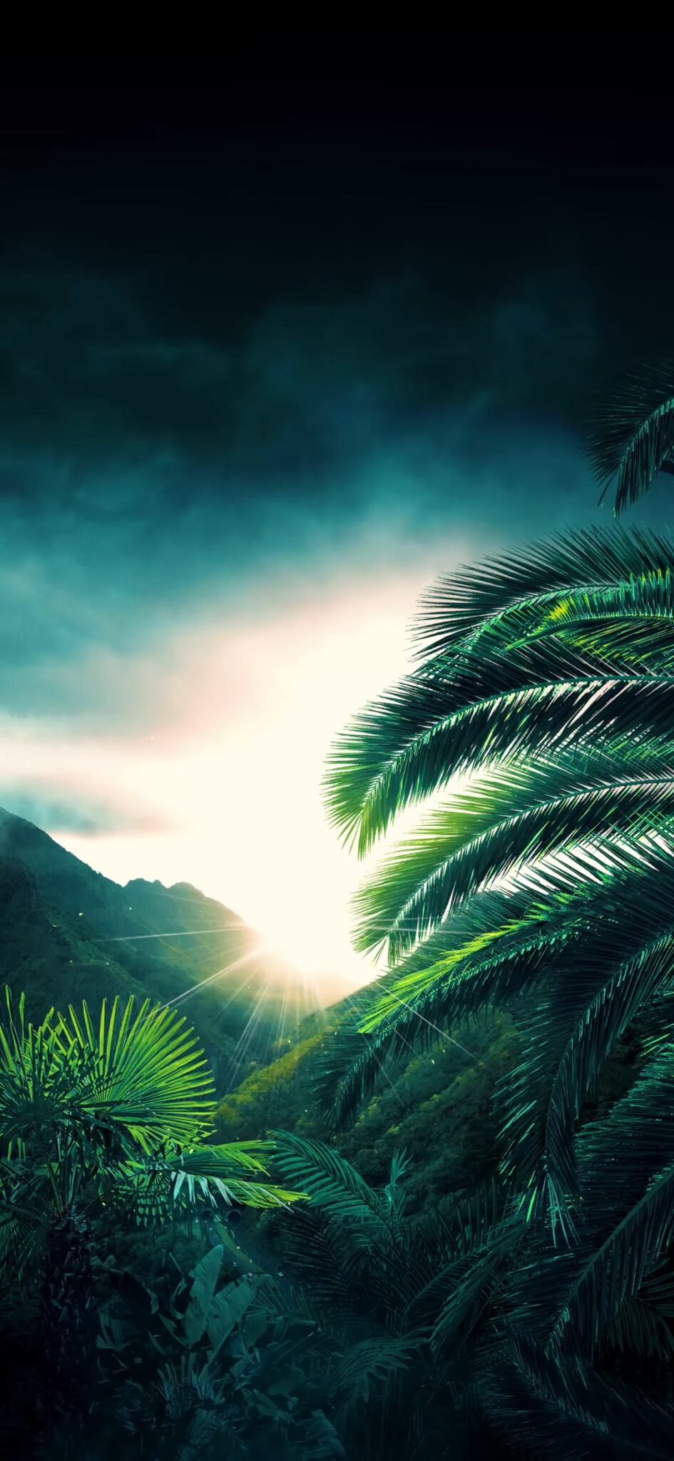 Sunlight in the Forest | LIVE Wallpaper - Wallpapers Central