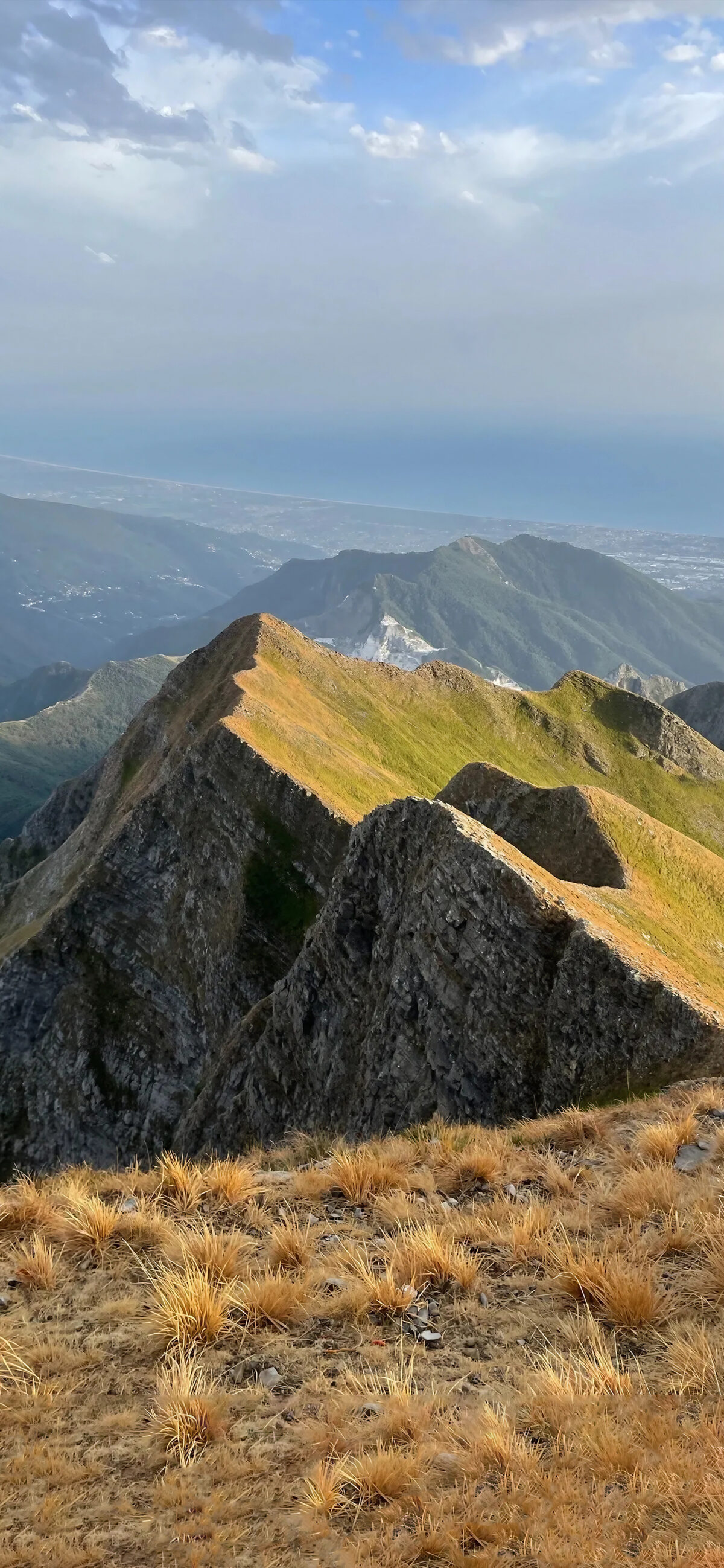 Monte - Wallpapers Central