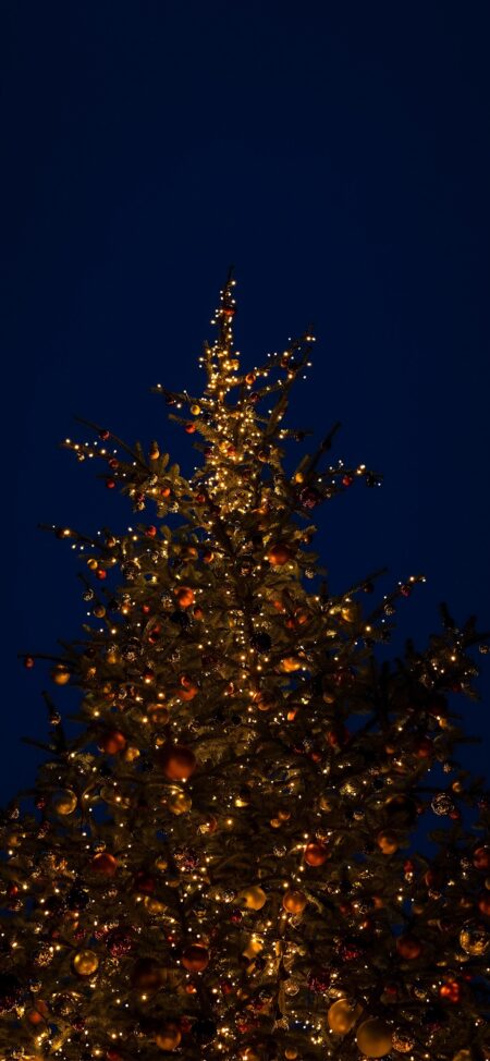 Christmas Tree | Depth Effect - Wallpapers Central