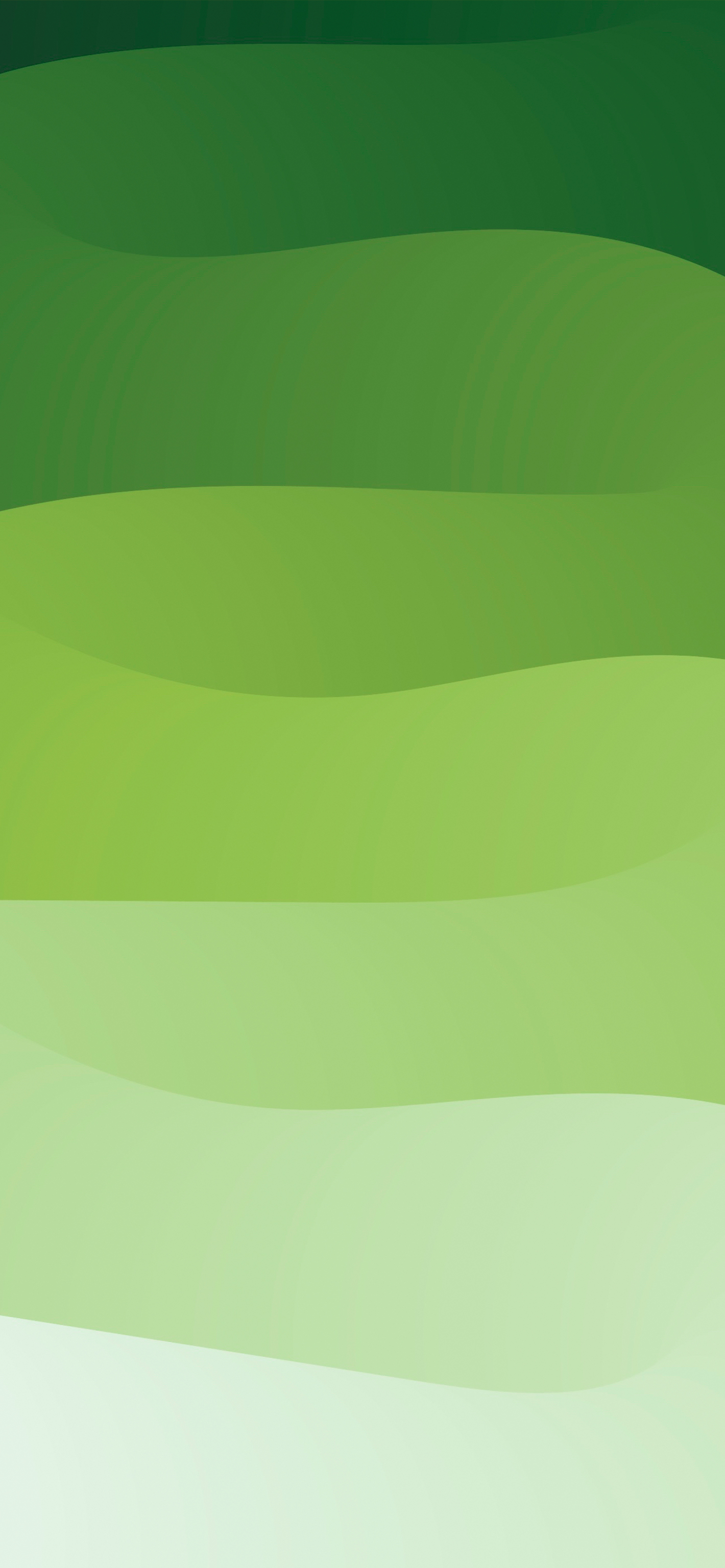 Shades of Green - Wallpapers Central