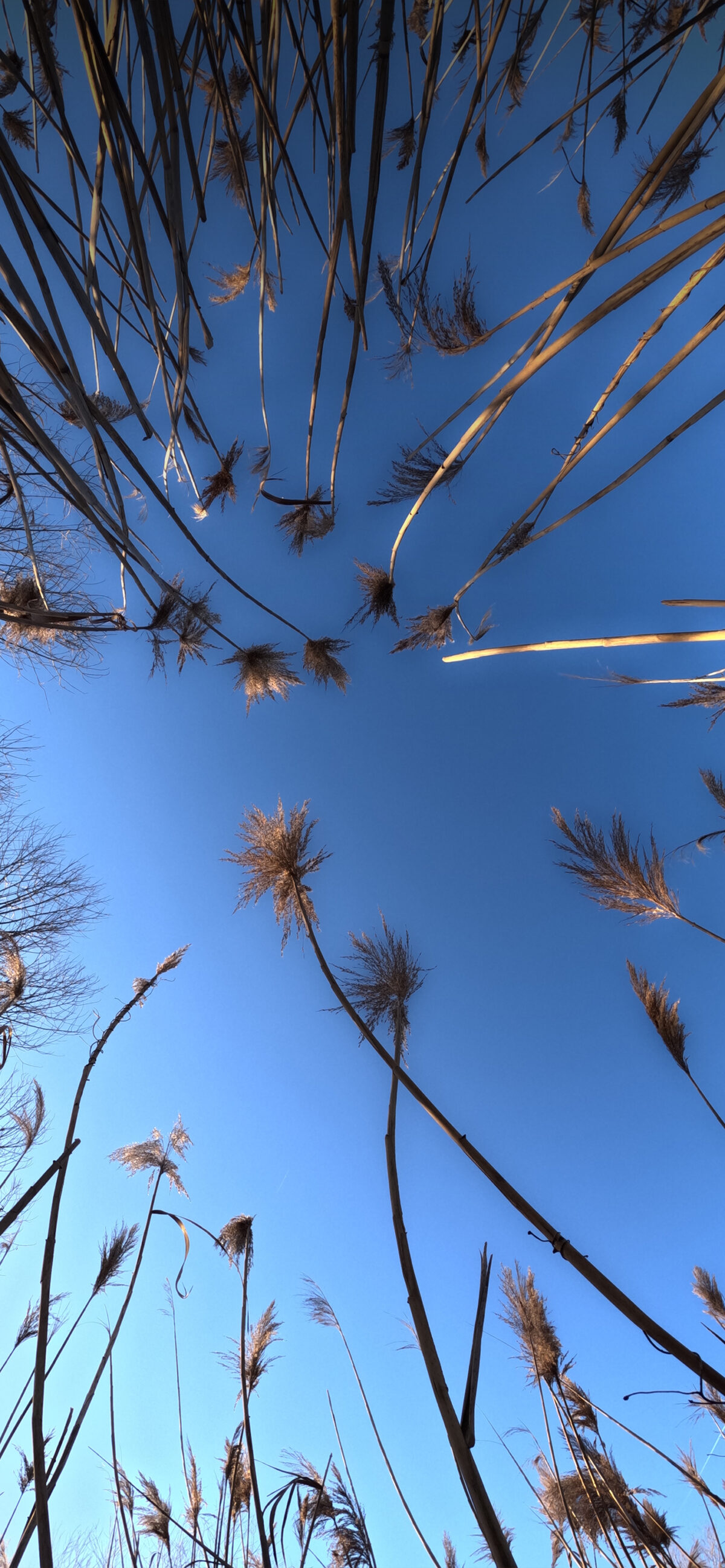 Prospettiva - Wallpapers Central