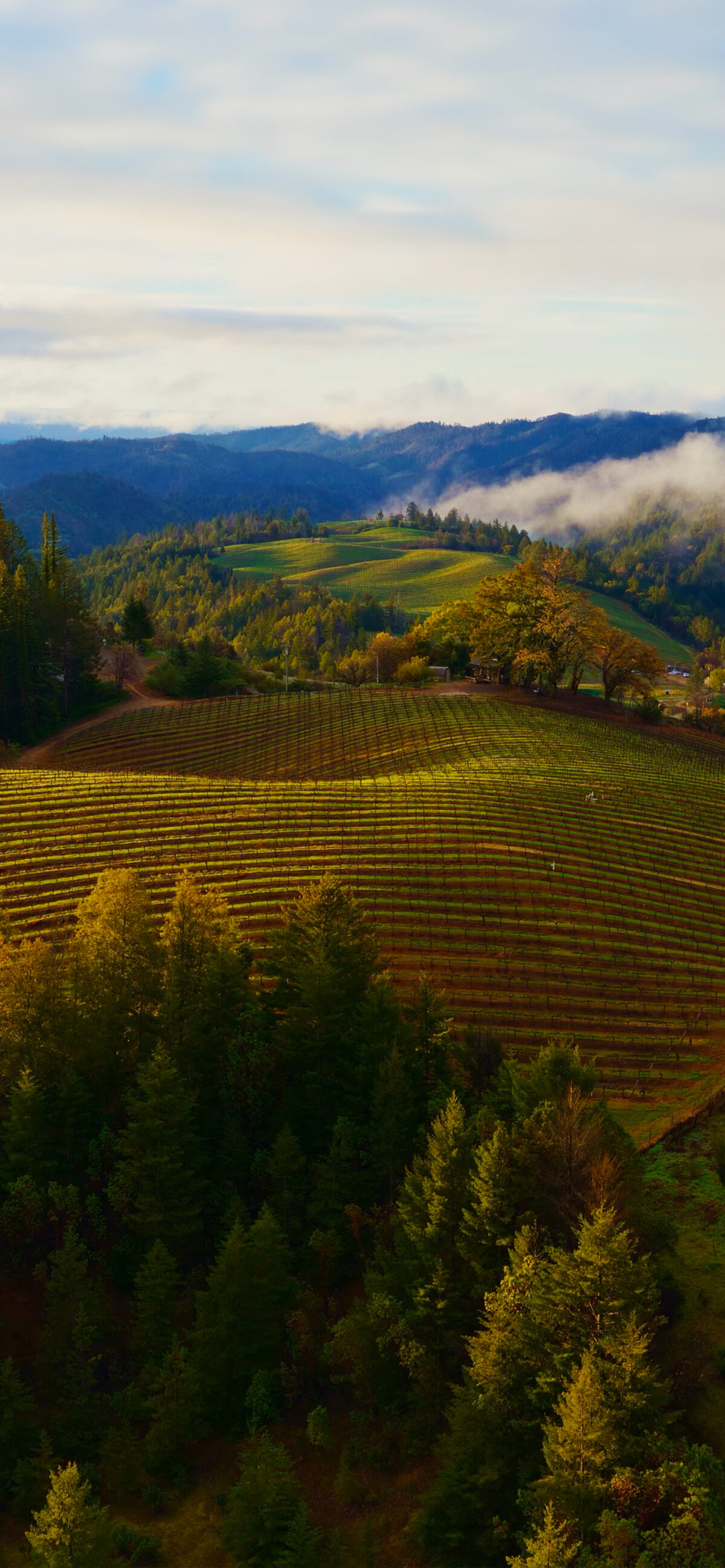 macOS Sonoma Horizon - Official Stock Wallpaper | Depth Effect ...