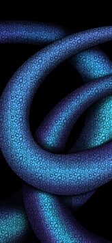 Alien Wire - Wallpapers Central