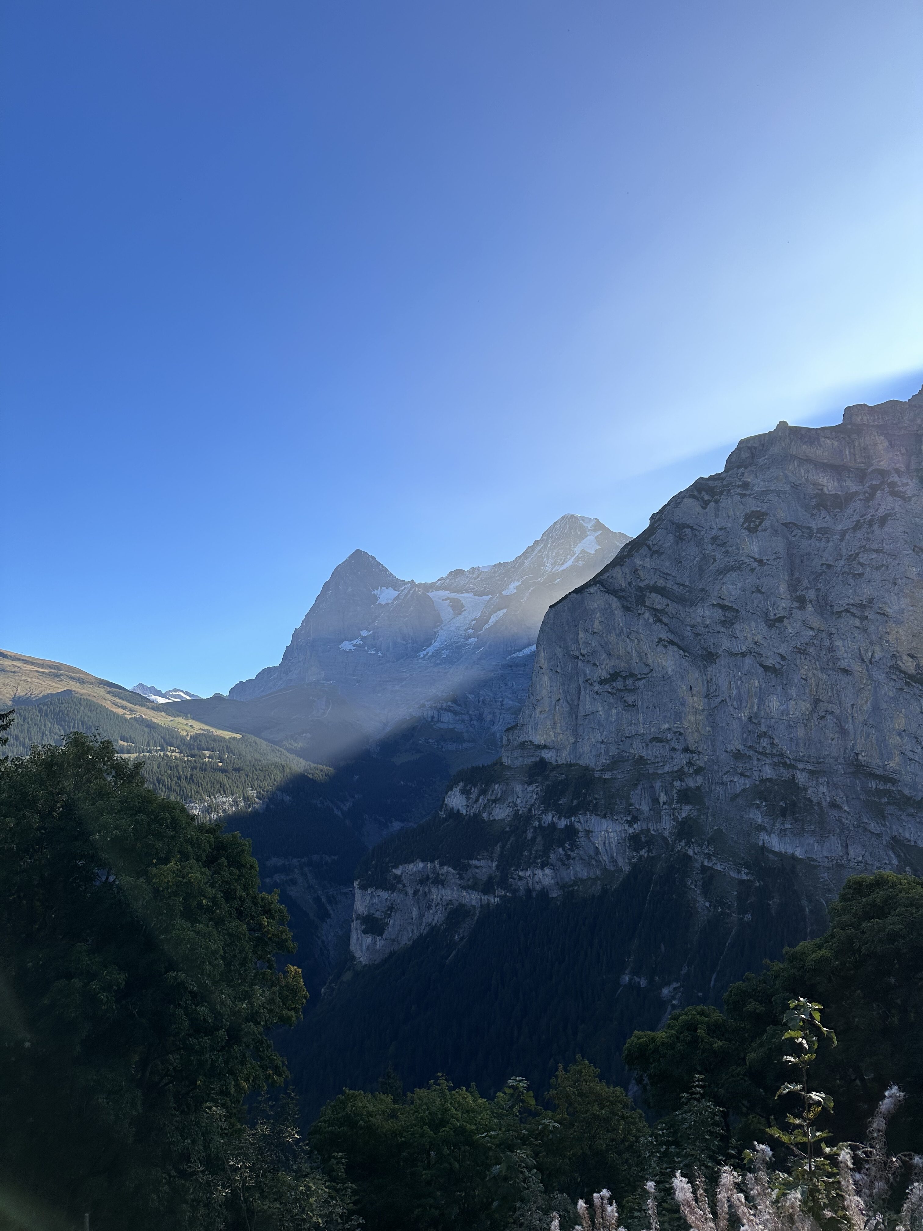 DAJKO - Wallpapers Central