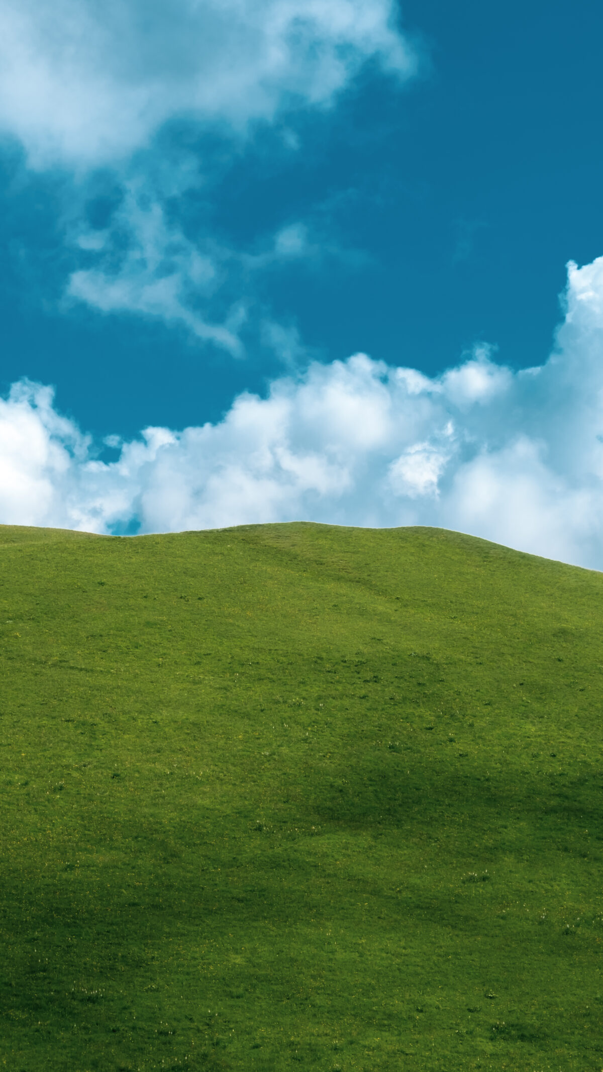 Windows XP in real life - Wallpapers Central