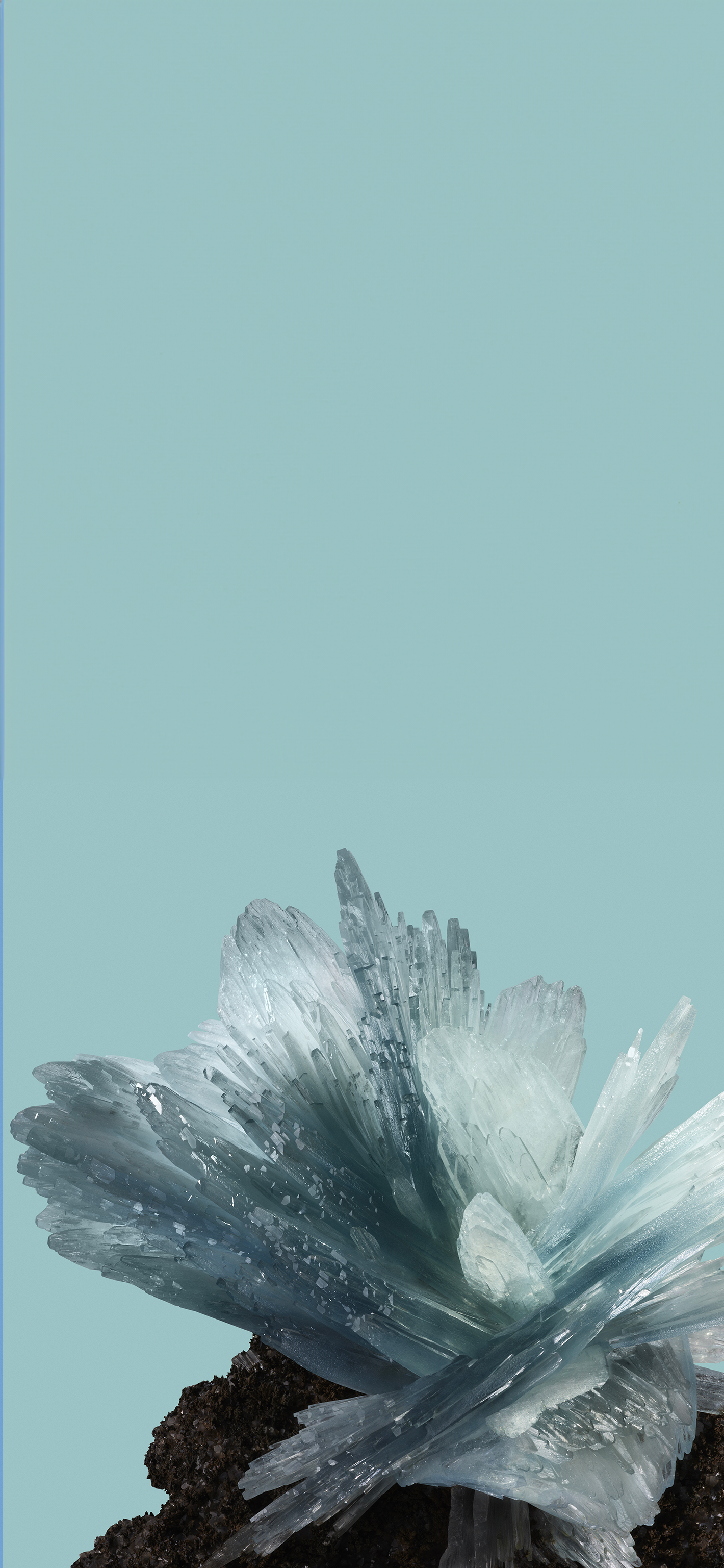 Google Pixel 8 - Stock Wallpaper #2 - Wallpapers Central