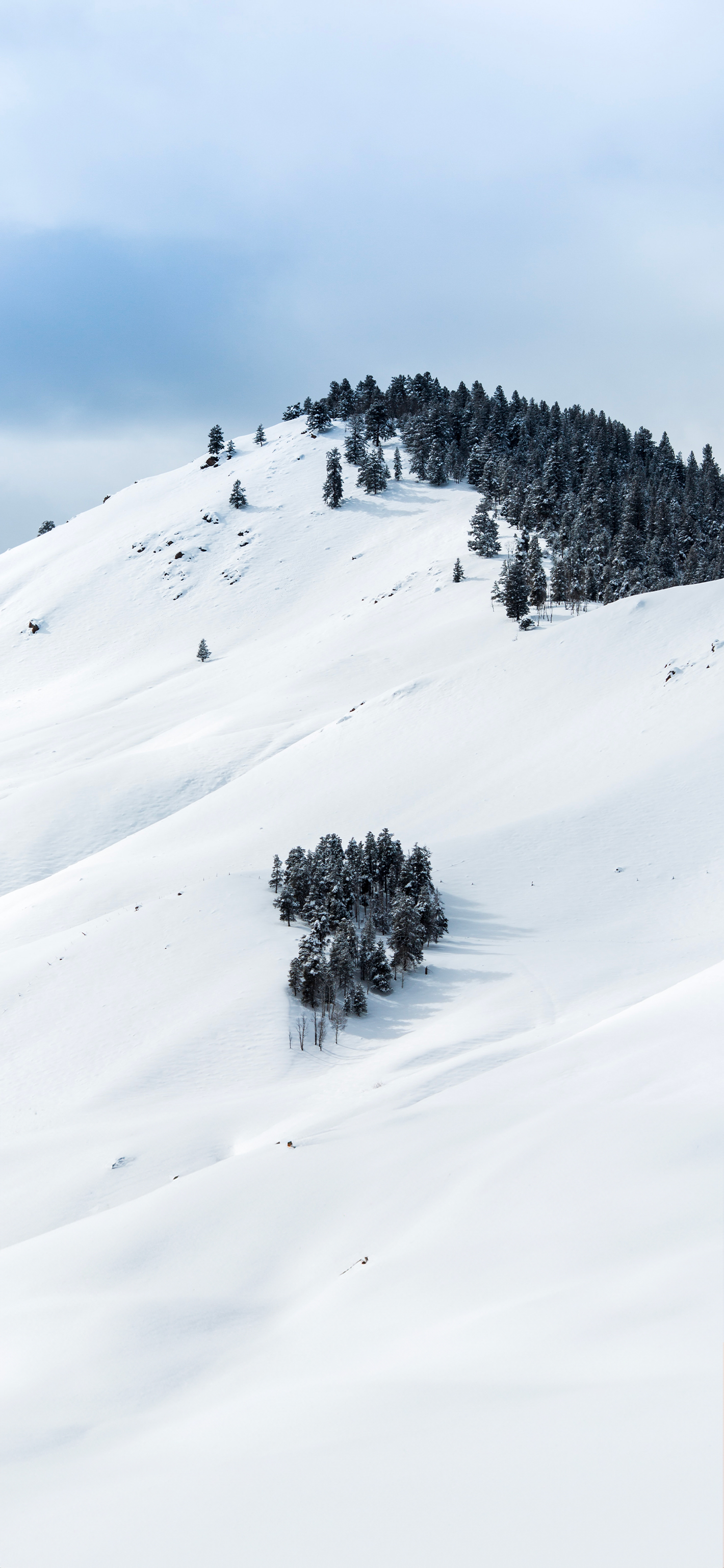 Winter Snow | Depth Effect - Wallpapers Central