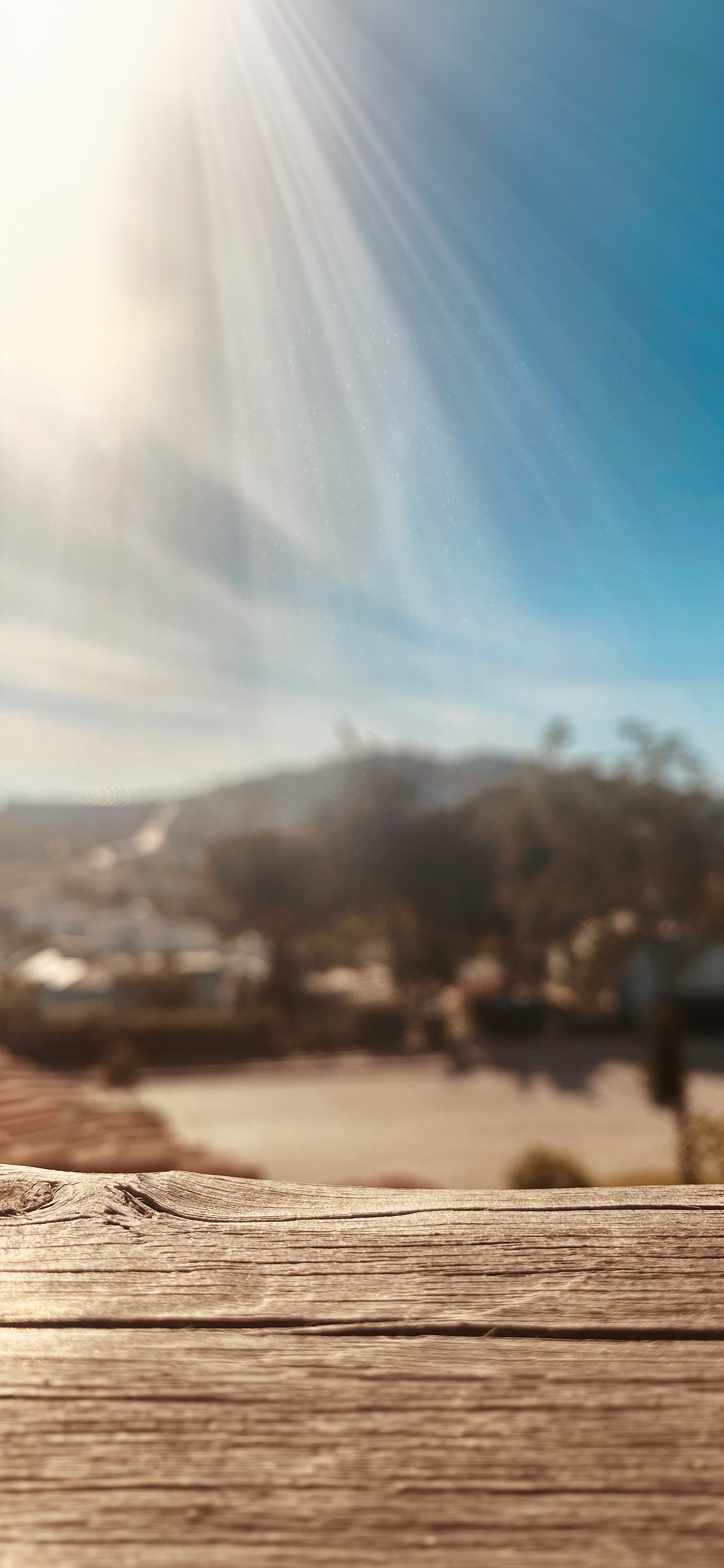 Fuzzy Wood - Wallpapers Central