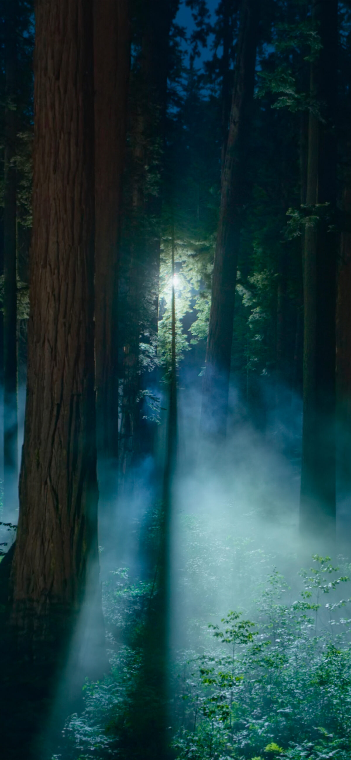 Official macOS Sequoia 15.0 Wallpaper 4K (Night) - Wallpapers Central