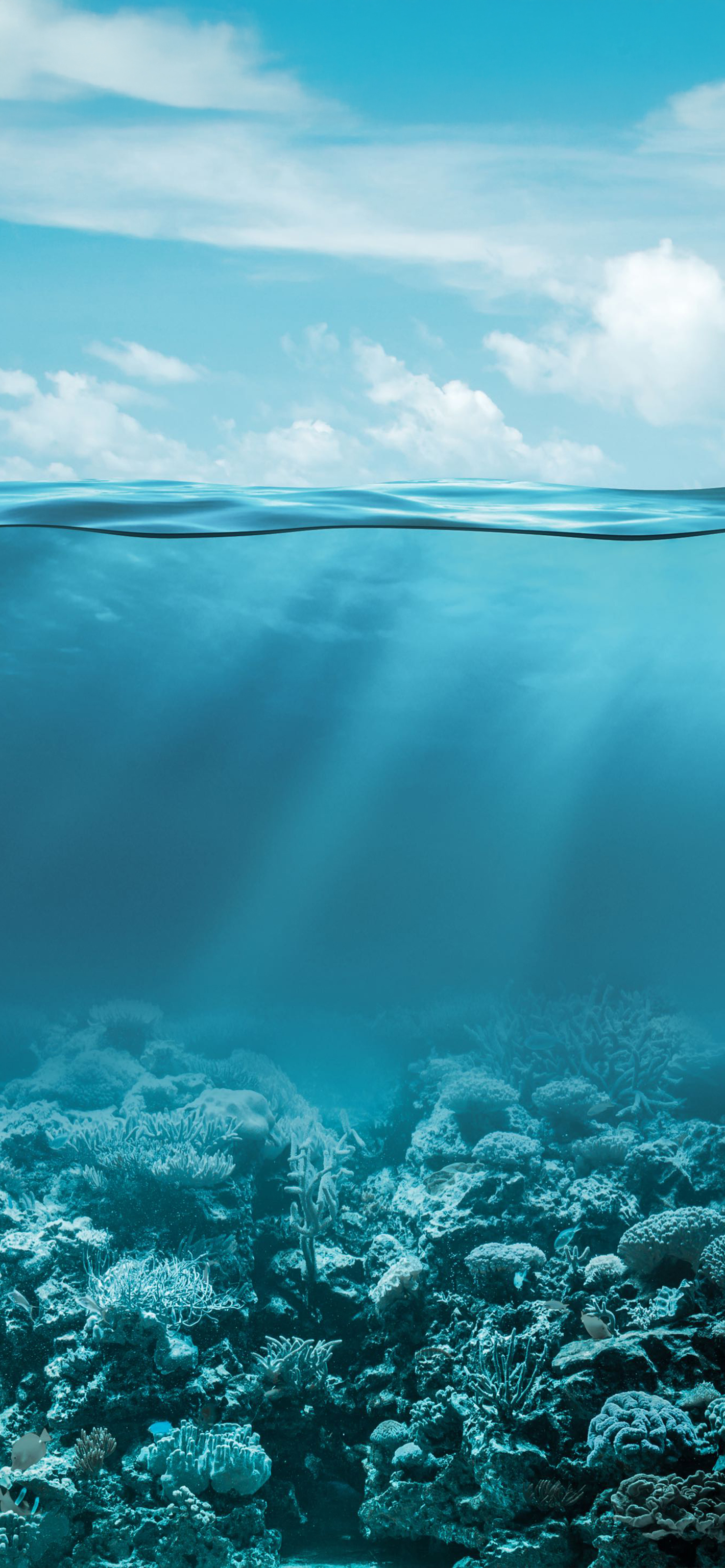 Aqua Depths - Wallpapers Central