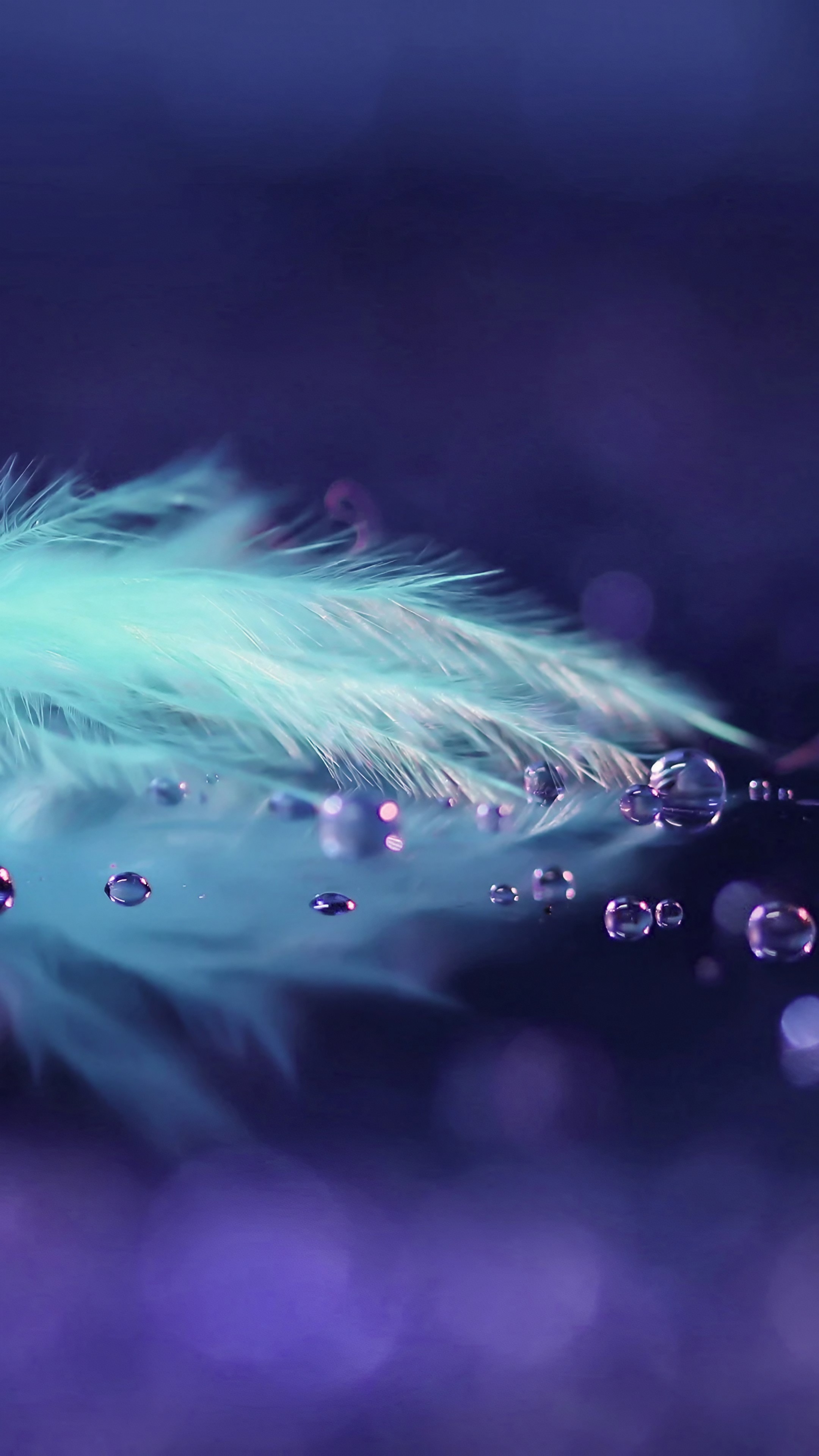 Plume and Liquid Drops - Wallpapers Central