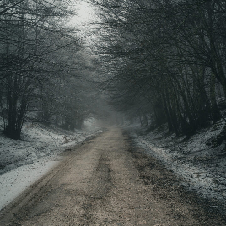 Winter Mood - Wallpapers Central
