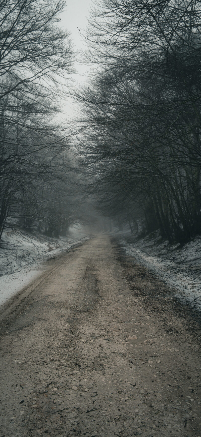 Winter Mood - Wallpapers Central