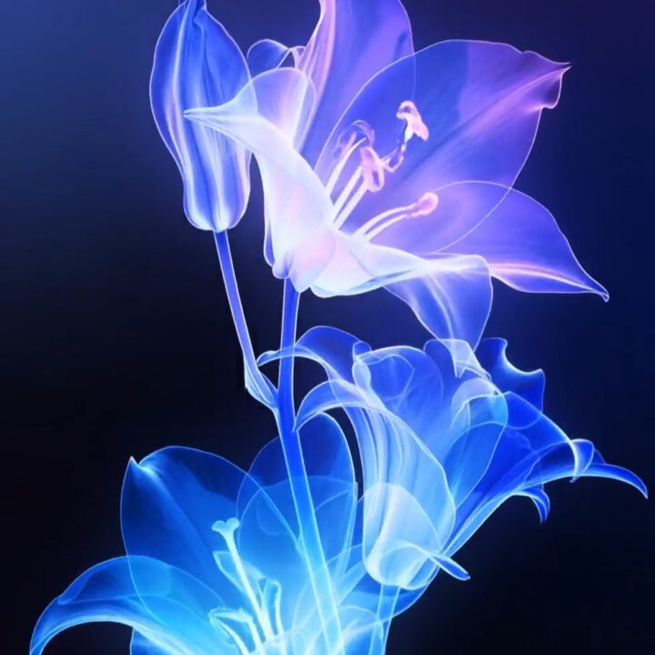 L'Amour Edition #3 | LIVE Wallpaper - Wallpapers Central