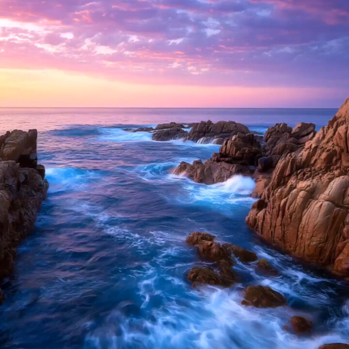 Ocean Glow | LIVE Wallpaper - Wallpapers Central